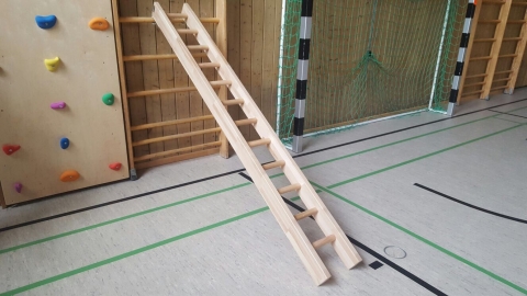 Wandrek met optrekbeugel, 200x40 cm, 12 sporten, artikelnr. 247