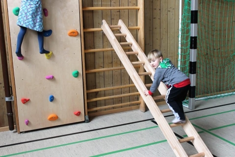 Wandrek met optrekbeugel, 200x40 cm, 12 sporten, artikelnr. 247